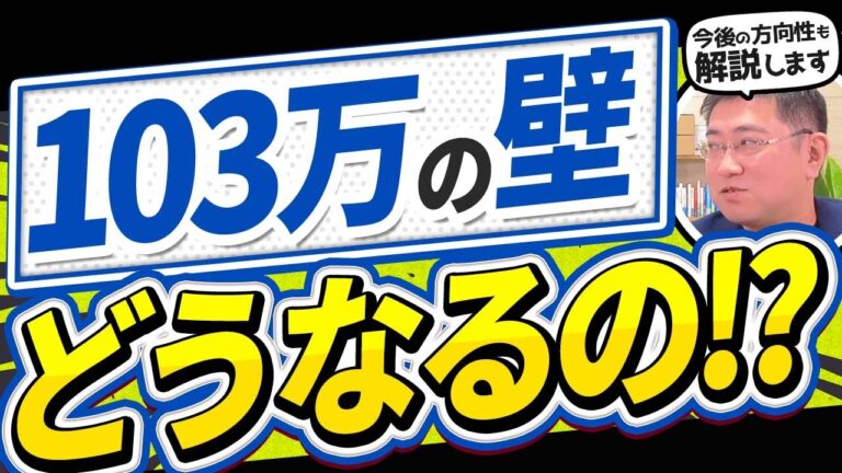 【年収の壁】103万円の壁だけじゃない！手取りを減らす他の壁とは？【money Sense College】 動画で学ぶ投資＆経済学